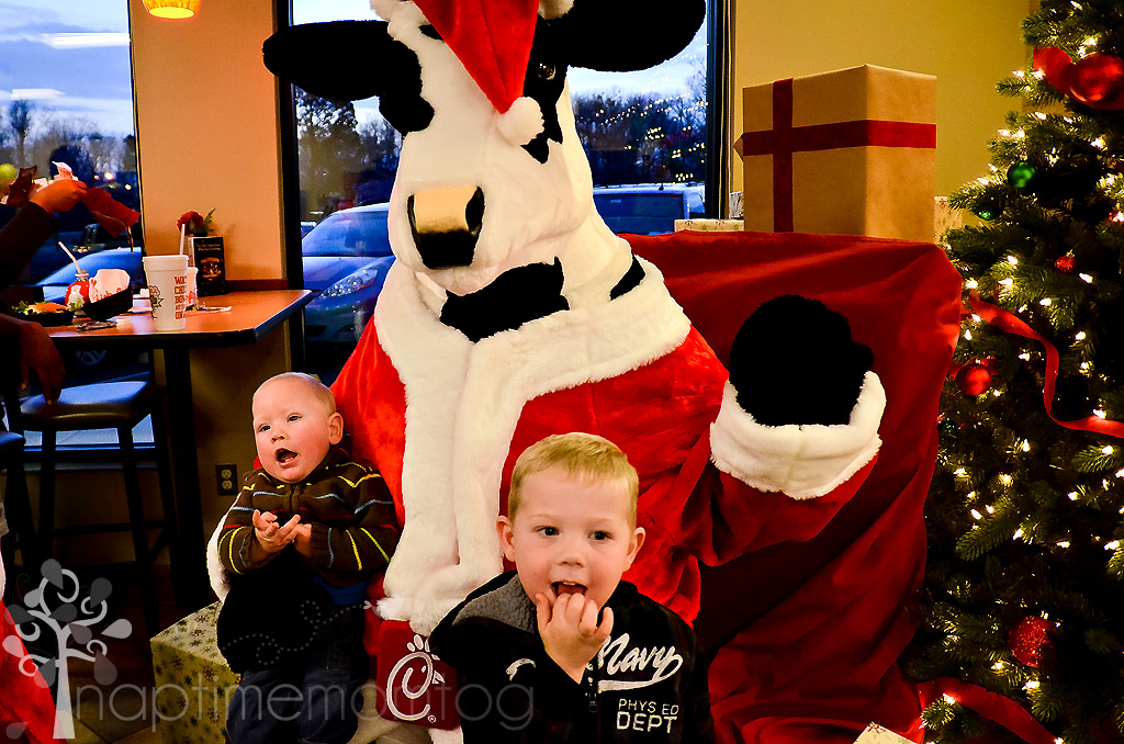 ntmt0122 - Sarah Halstead