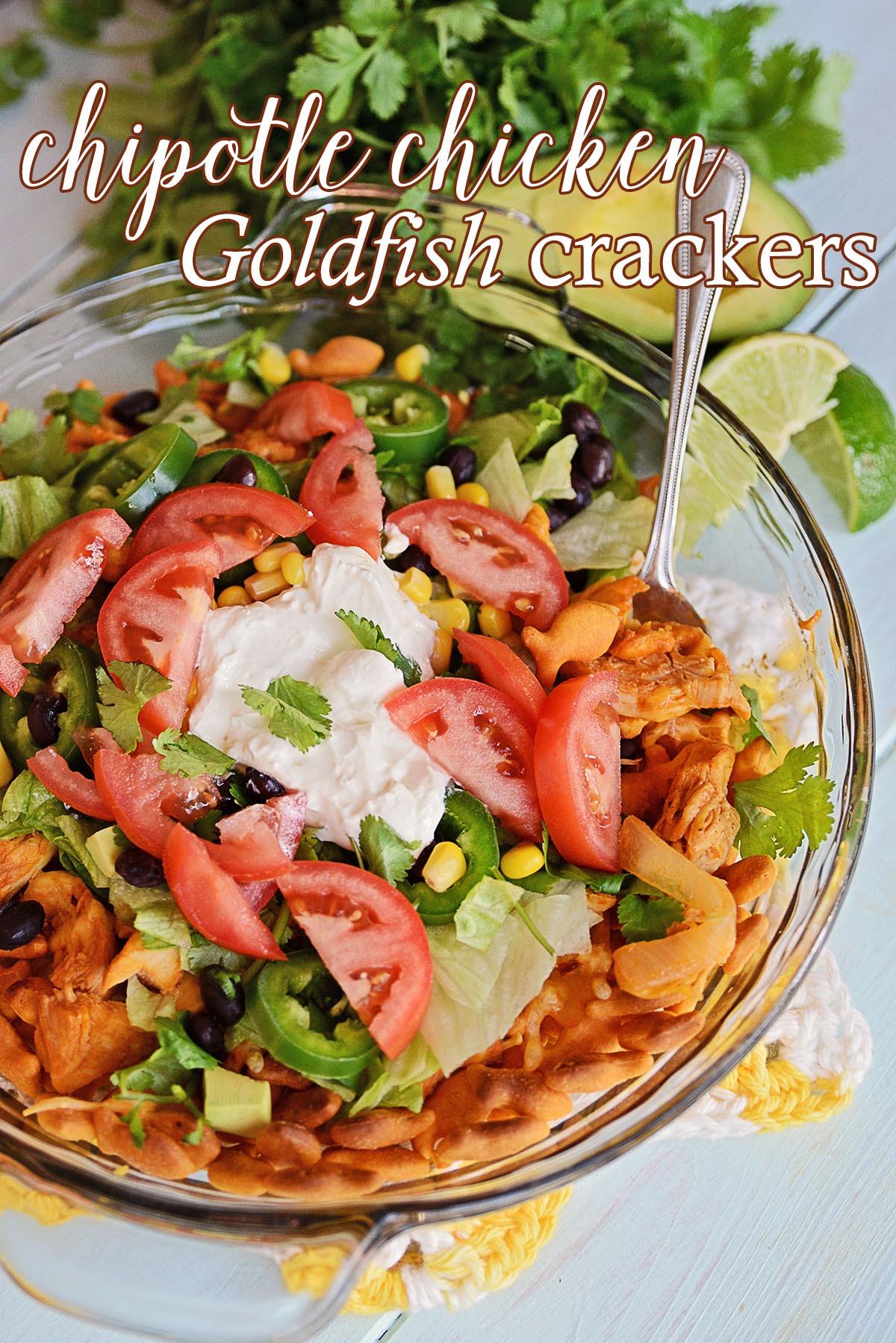 Chipotle-Chicken - Sarah Halstead