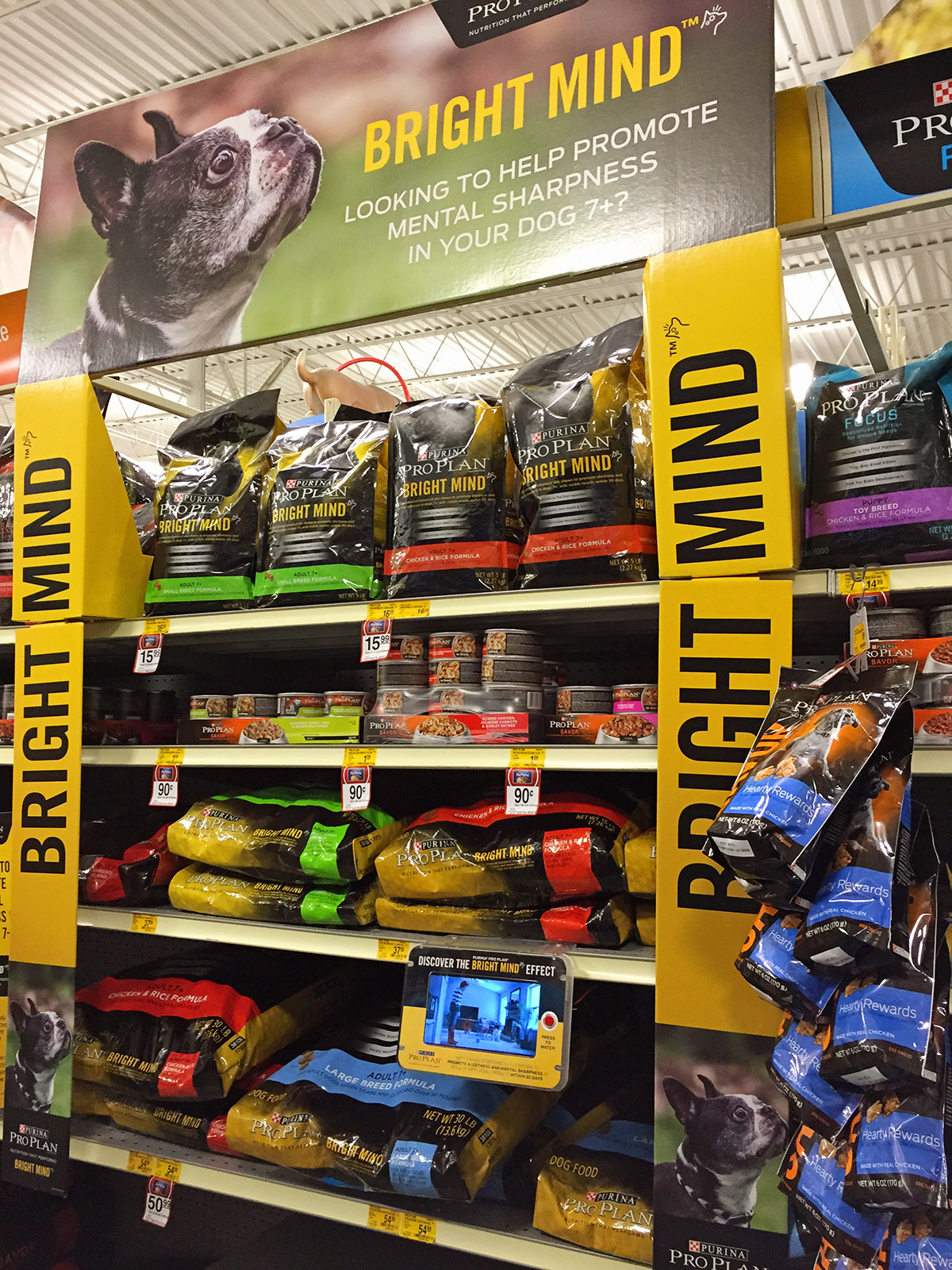 Purina-Shop - Sarah Halstead