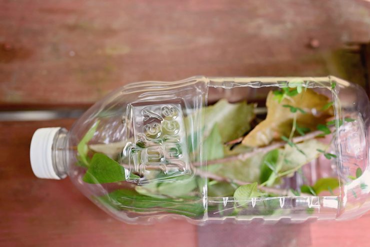 DIY Bug Catcher with Upcycled Juicy Juice Bottle | Sarah Halstead