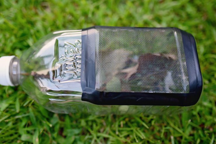DIY Bug Catcher with Upcycled Juicy Juice Bottle | Sarah Halstead